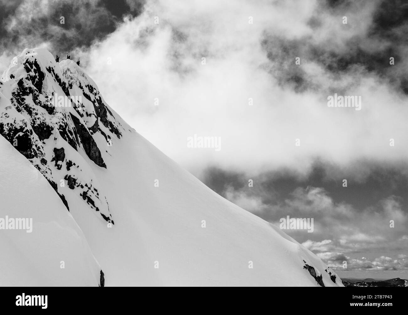 A stark black and white photograph capturing the contrast between a ...