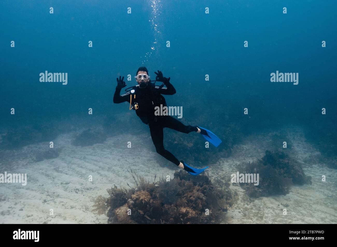A scuba diver gives the OK sign while swimming near the ocean floor ...