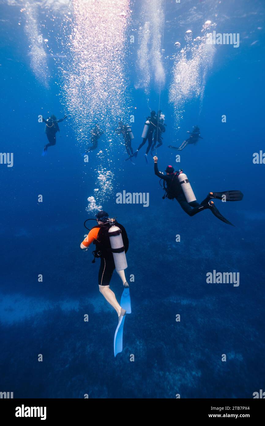 A group of scuba divers swimming underwater, surrounded by bubbles and ...