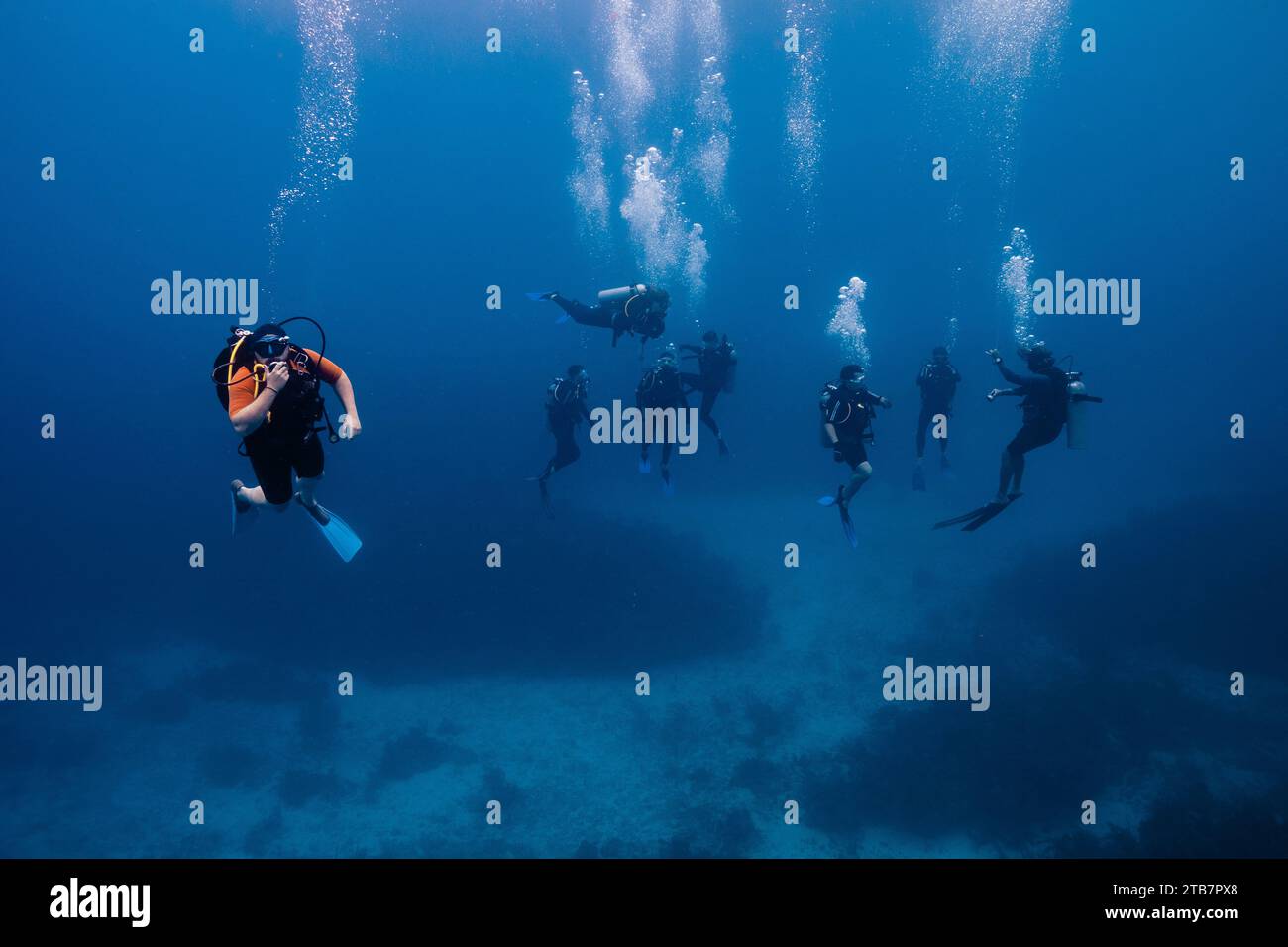 A serene underwater scene showing a group of scuba divers descending in ...