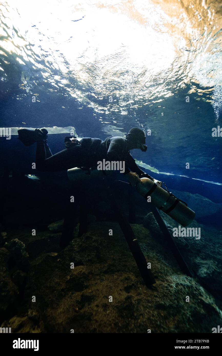 Side view of full body of anonymous diver swimming in clear water ...