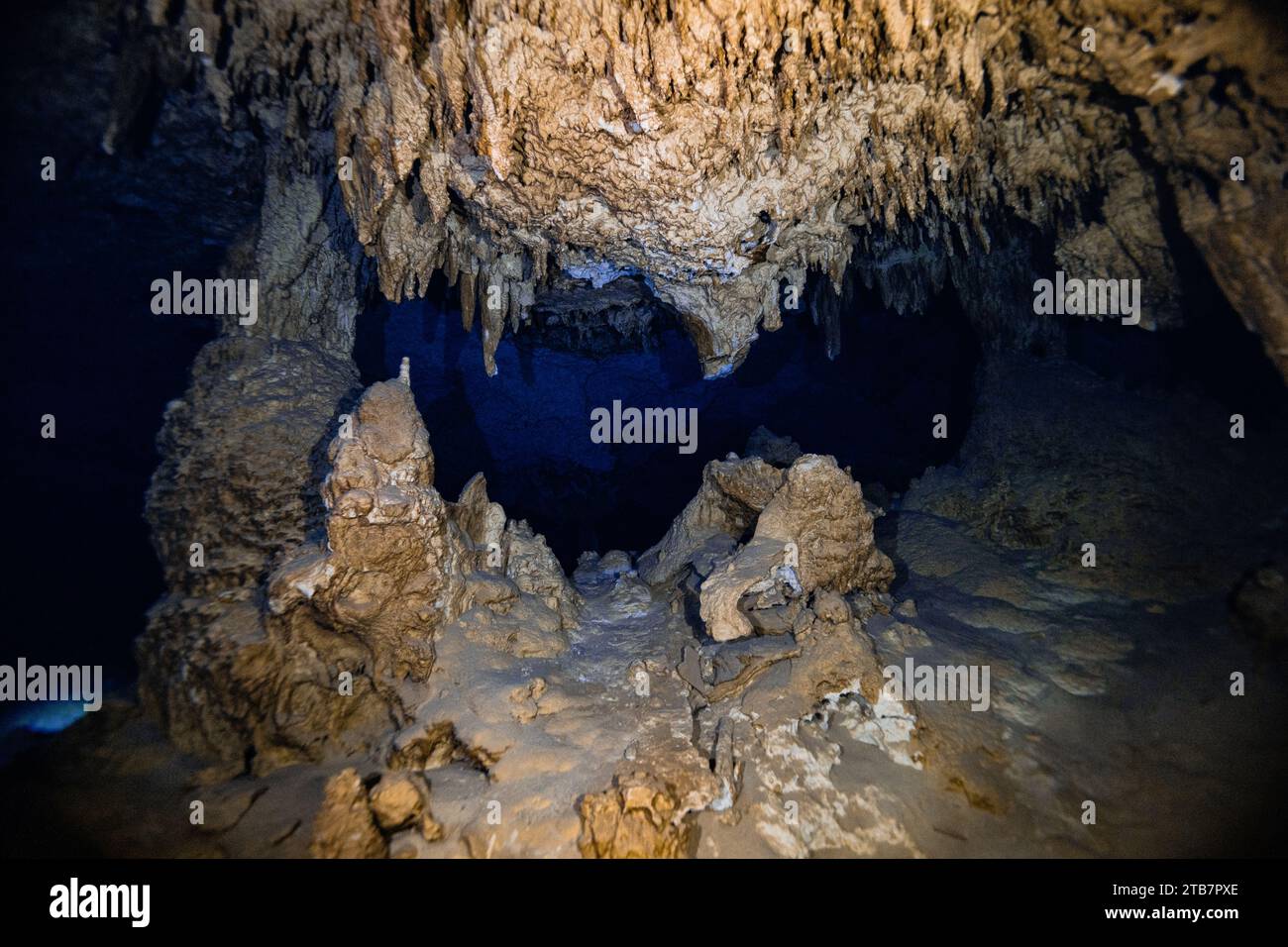 Subterranean landscape of stalactite formations hanging dramatically ...