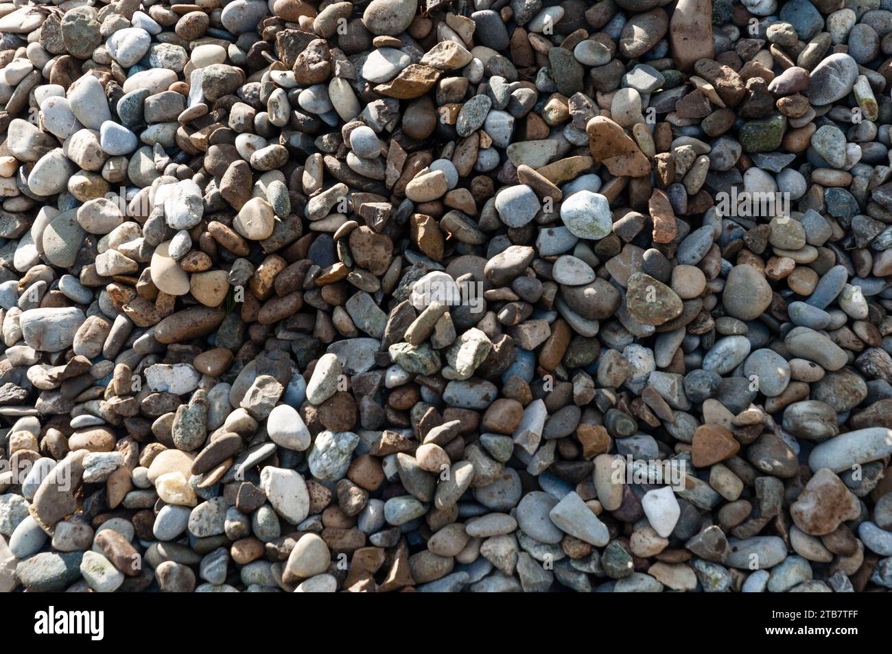 The different colored pebbles, format filling as background Stock Photo - Alamy
