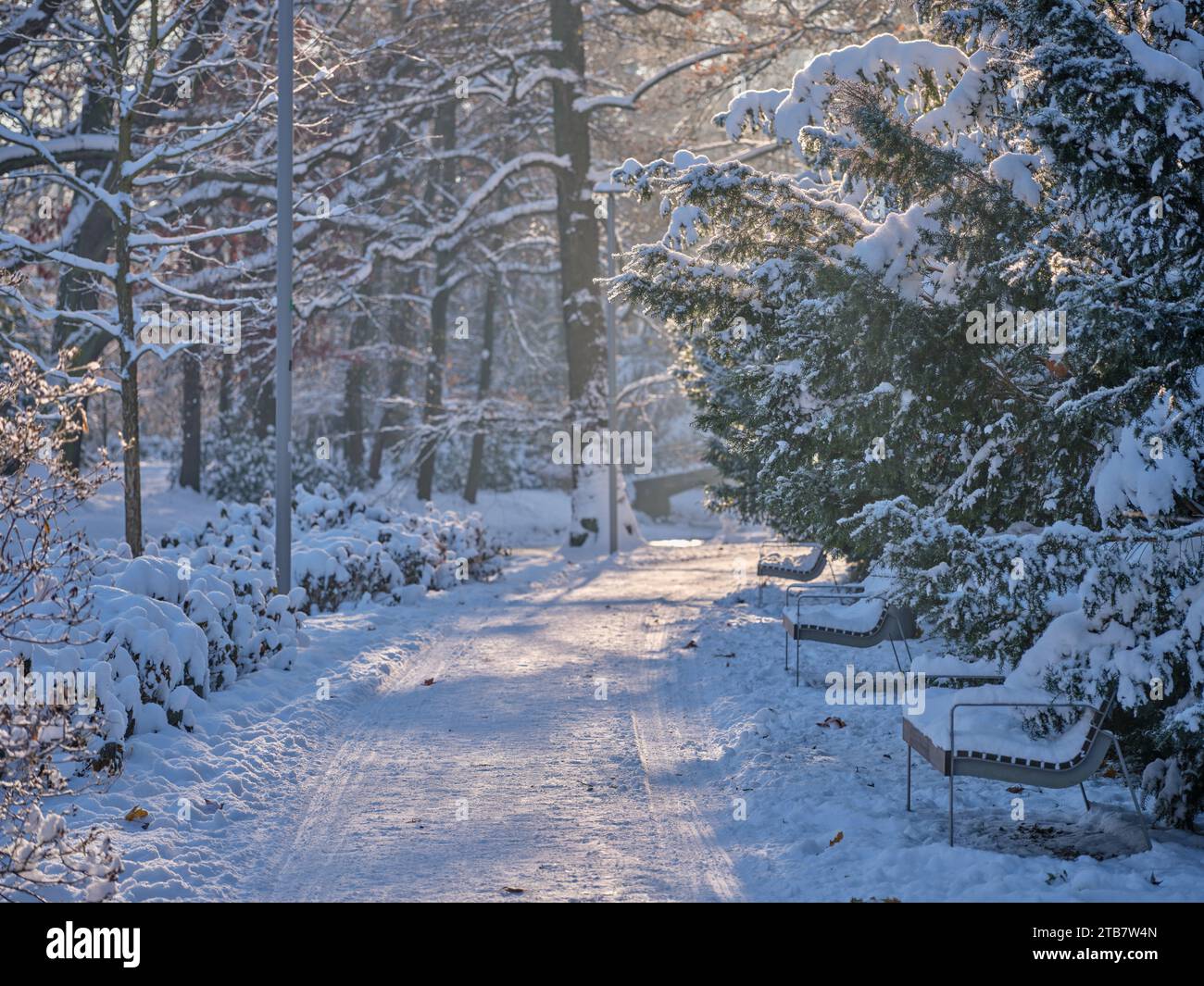 Centennial Hall Pergola Japanese Garden Szczytnicki Park in snowy ...