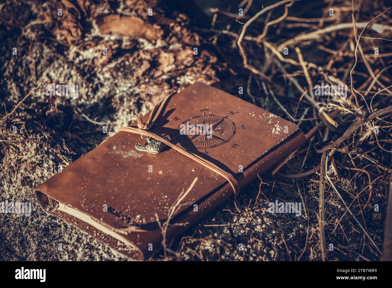 Baltic secrets hi-res stock photography and images - Alamy