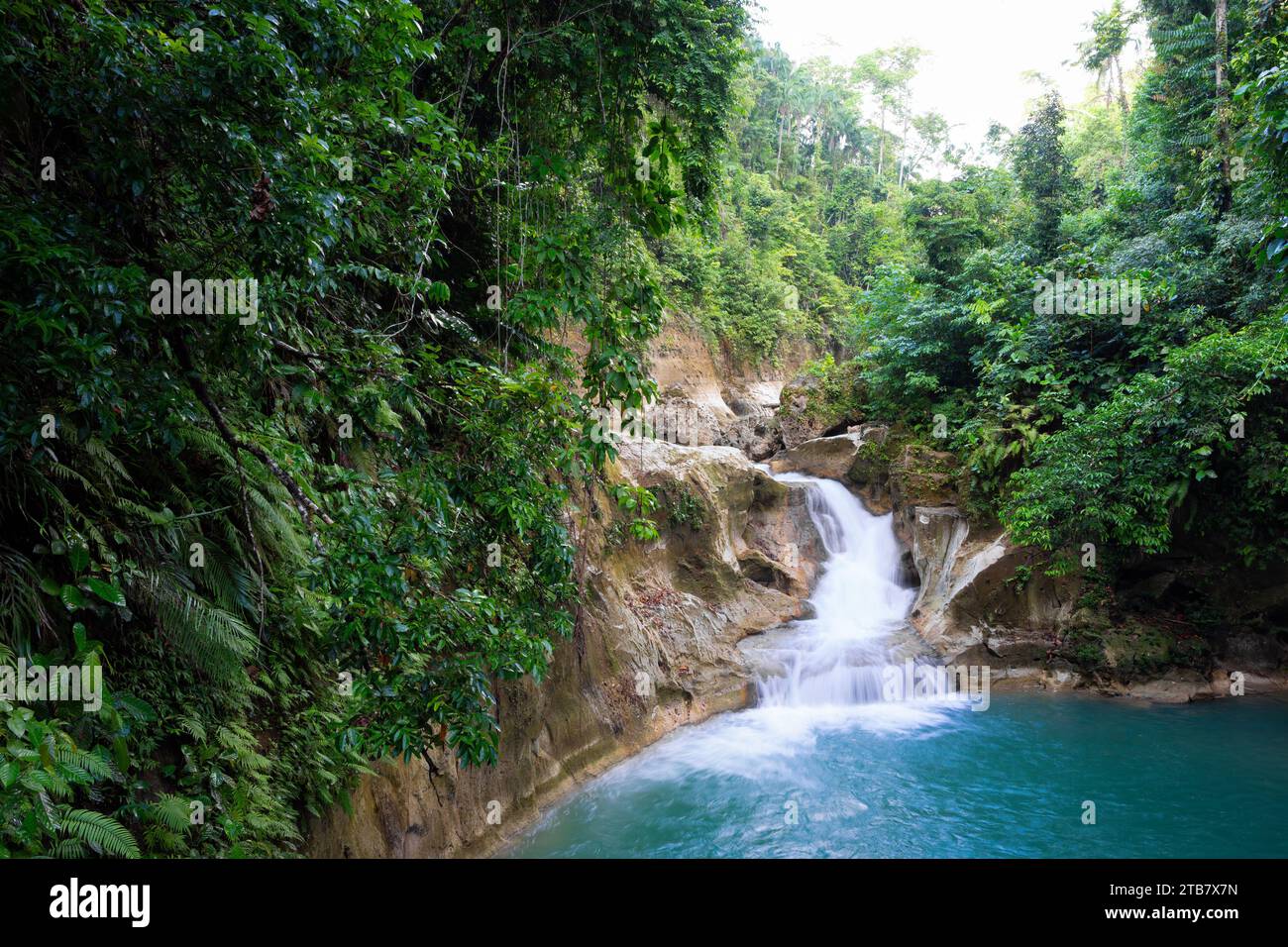 This breathtaking image showcases a vibrant river with a powerful ...