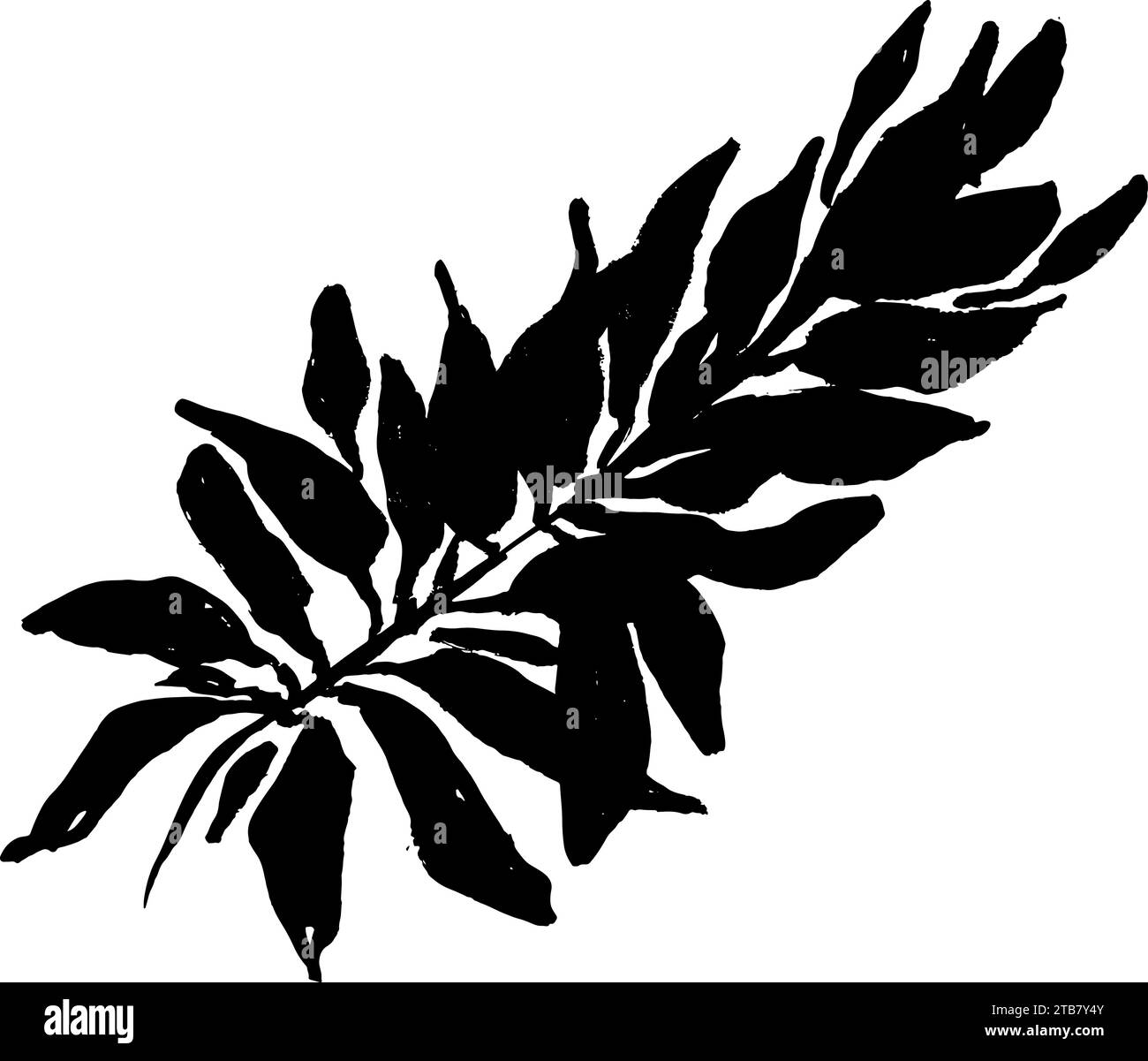 Leaf Grunge Artwork Brush Silhouette Element Stock Vector Image & Art ...