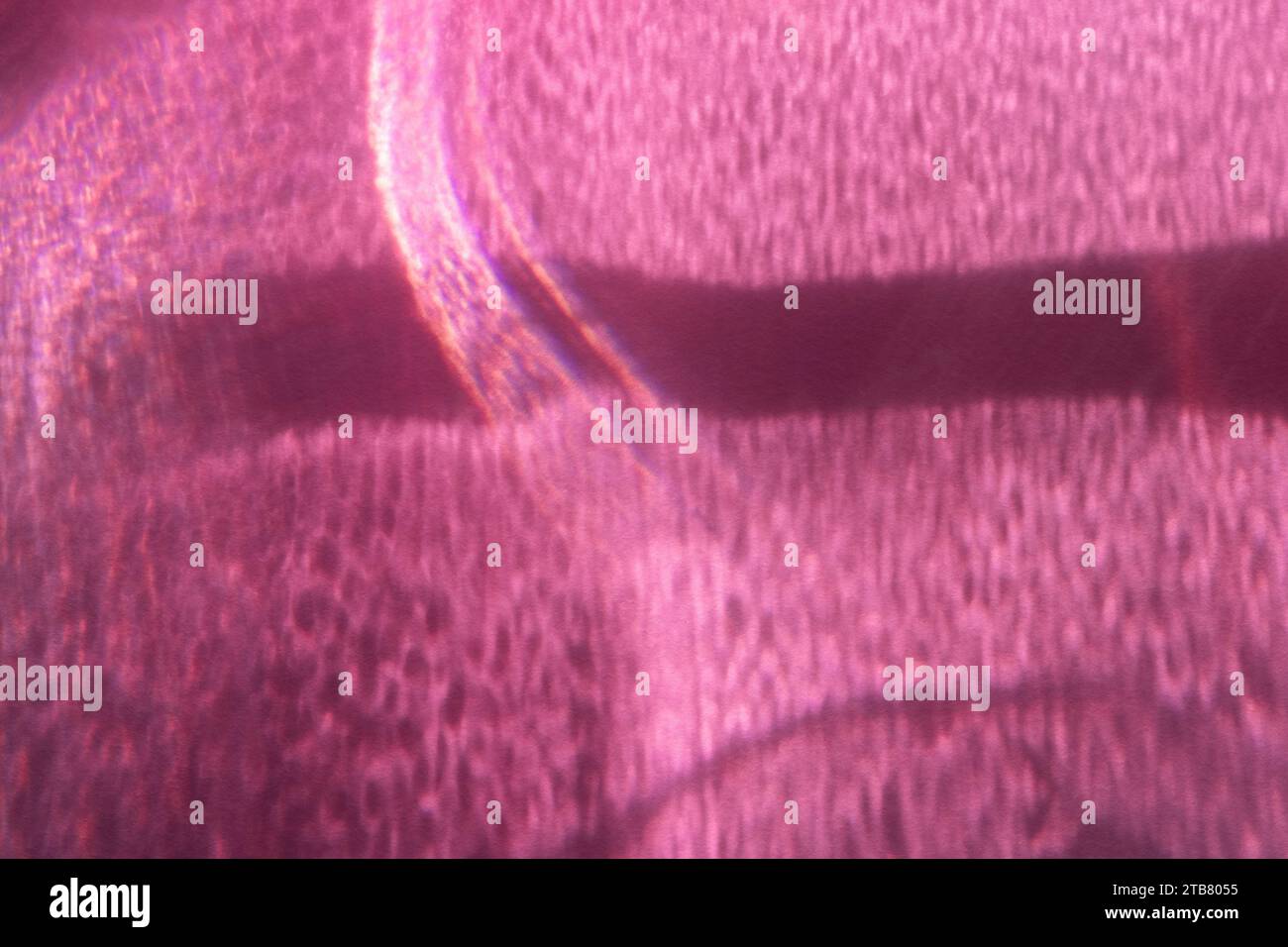 Abstract pink water ripple texture overlay. Summer copy paste ...