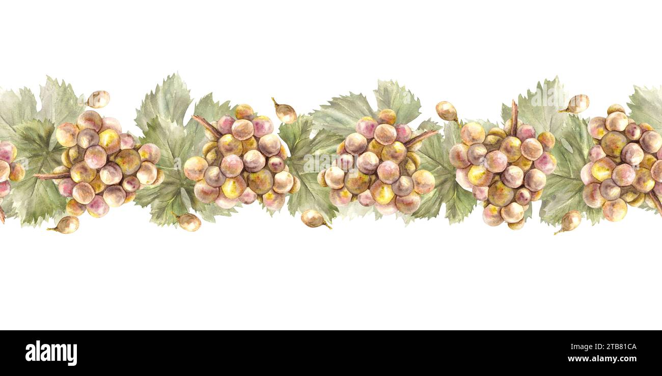 Watercolor seamless border pattern. Bunch of green yellow grapes ...