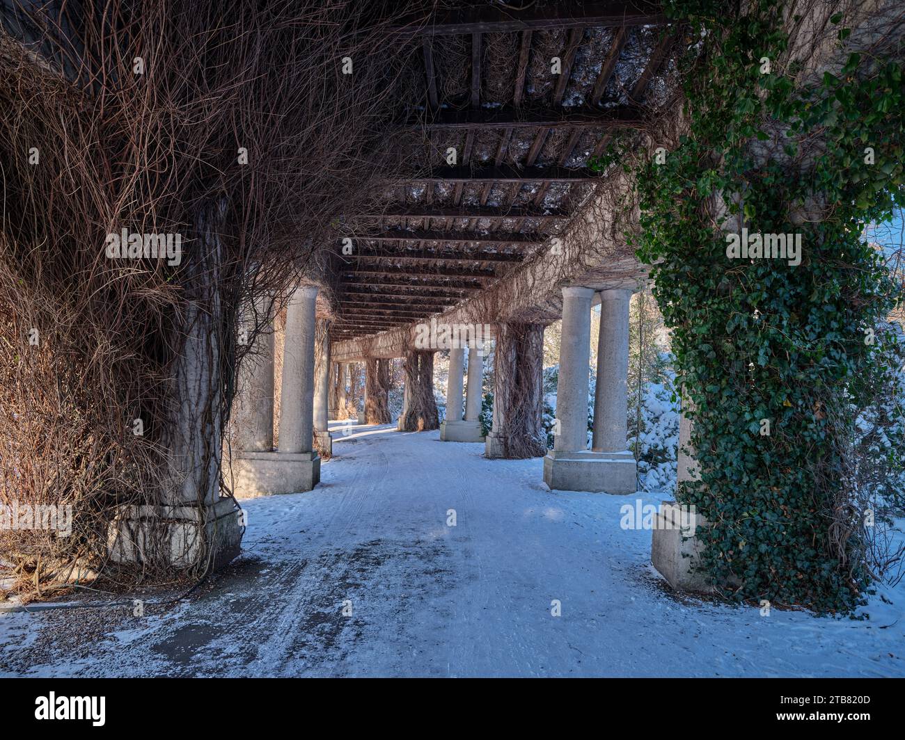 Centennial Hall Pergola Japanese Garden Szczytnicki Park in snowy ...