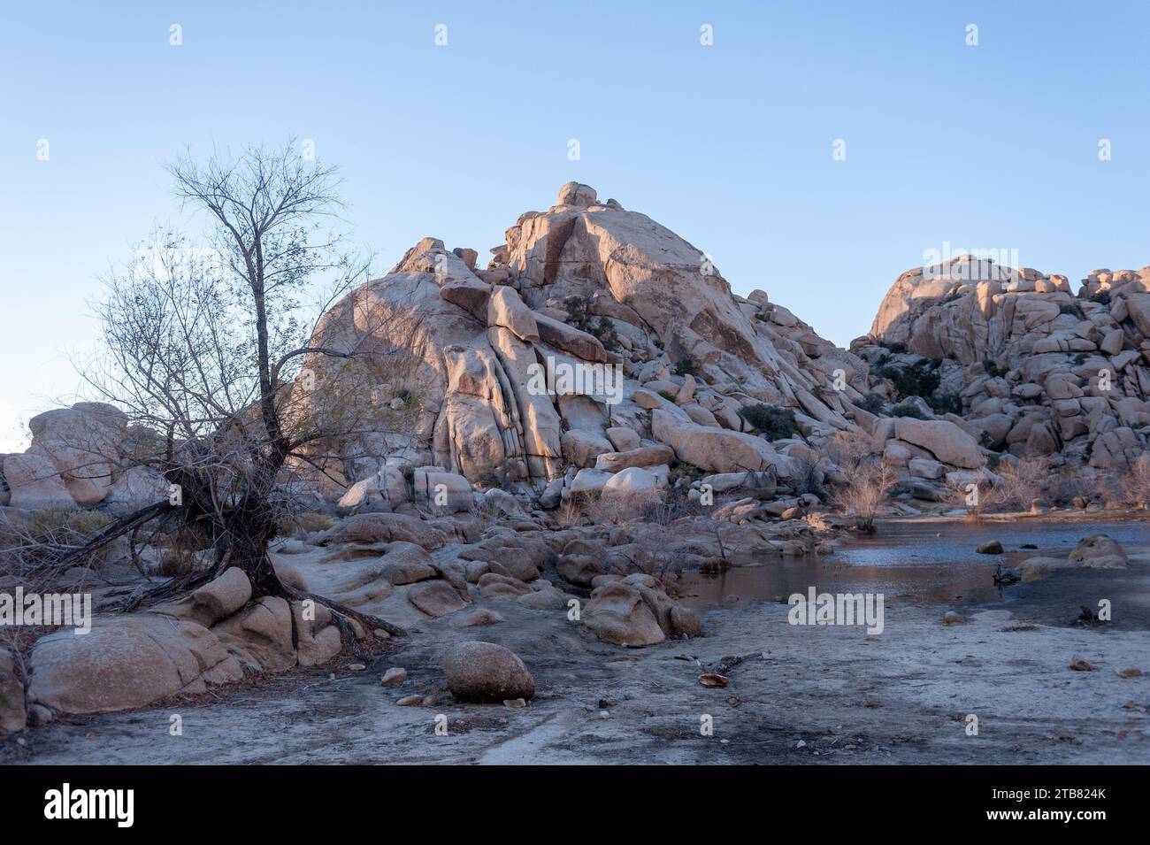 Impression of the Barkers dam area in Joshua tree national park, around ...