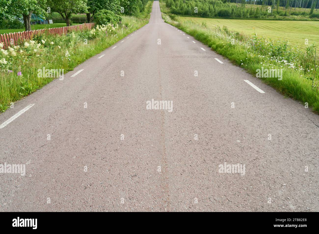 Close-up view of grey asphalt road with road markings and green meadow ...
