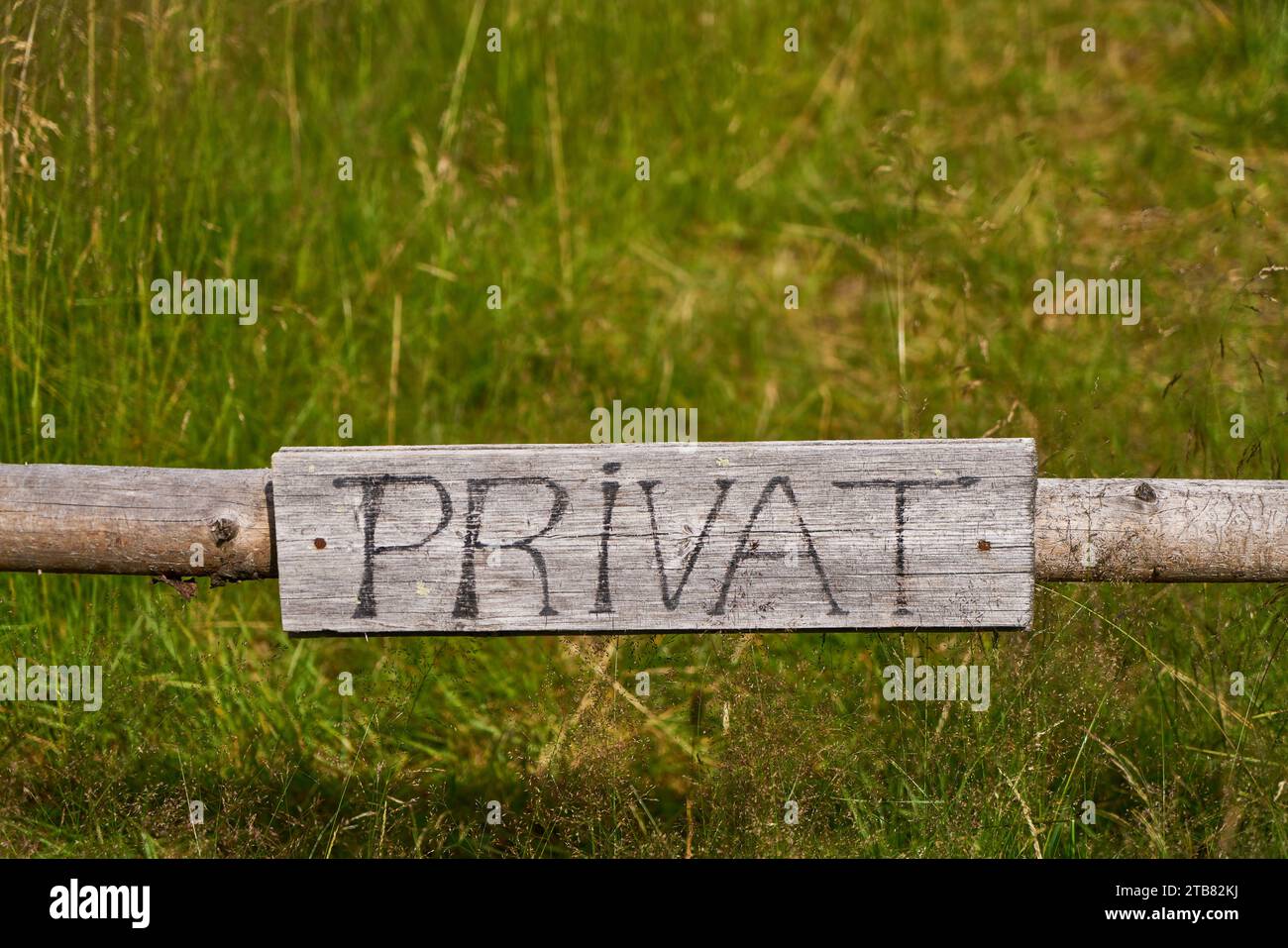 German Privat Pornos