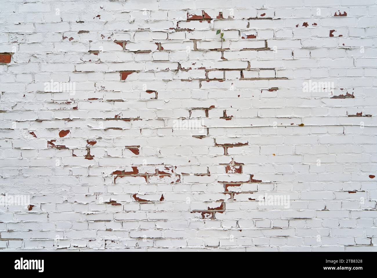 Old white brick wall with peeling paint as background texture design ...