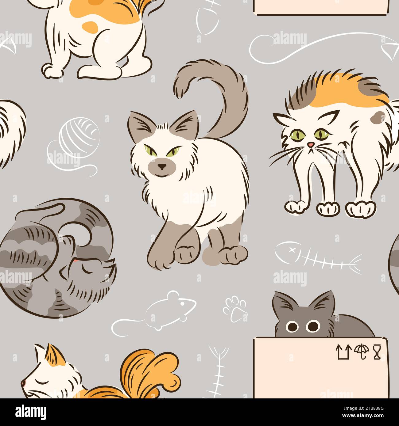 Cute Cat Poses Cute Cat Pose : R/cats