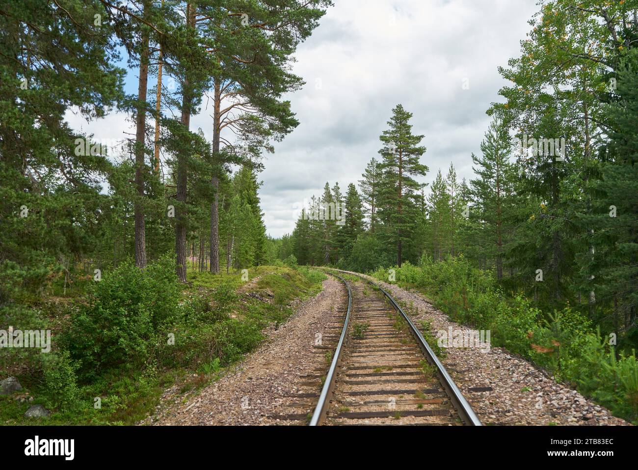 Greenery and tracks hi-res stock photography and images - Alamy