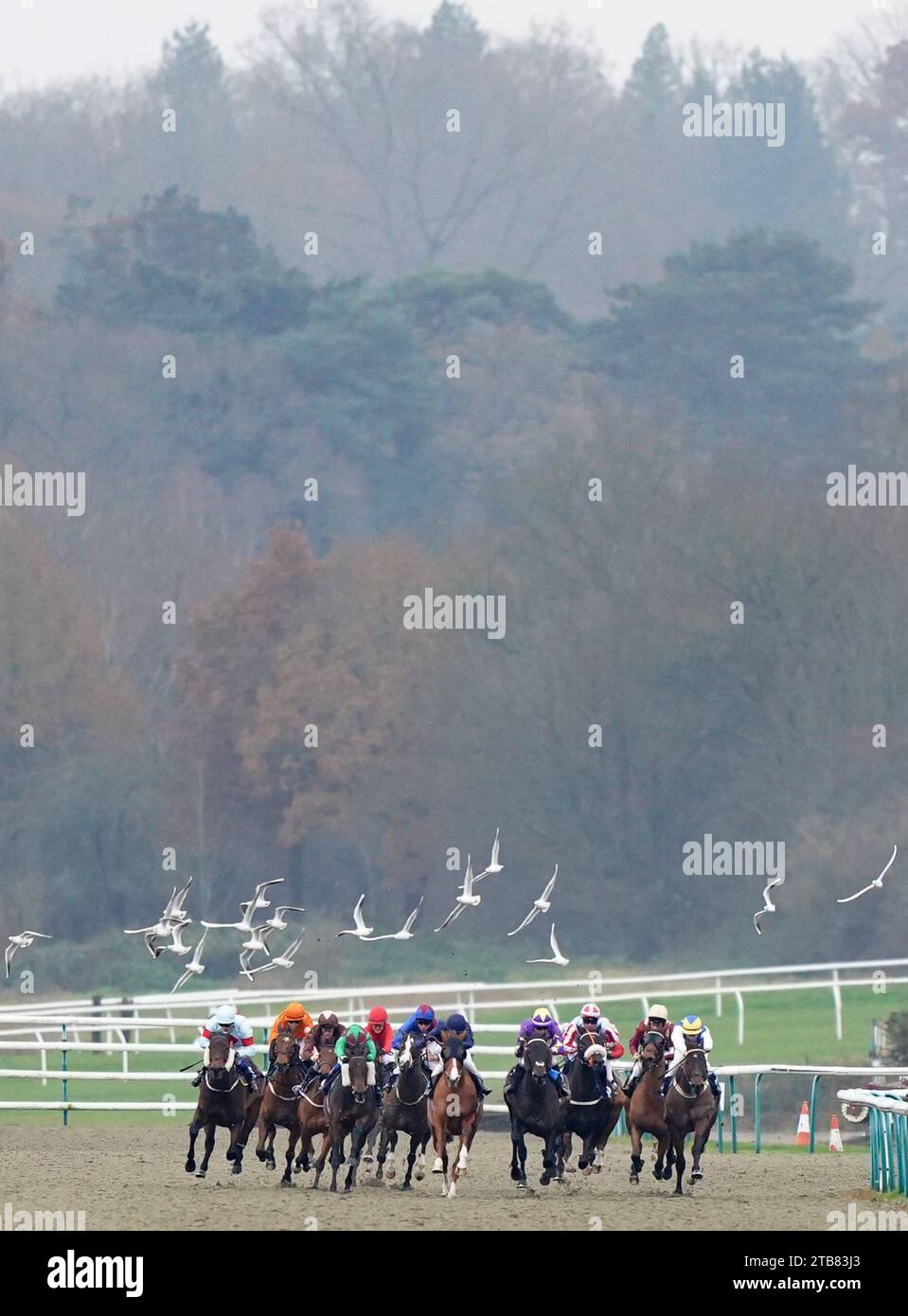 Lingfield racecourse 2023 hi-res stock photography and images - Alamy