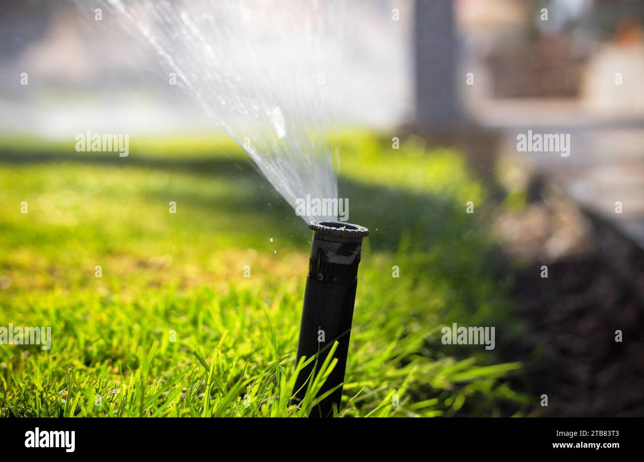 Automatic sprinkler system watering the lawn. Lawn irrigation. Close up ...