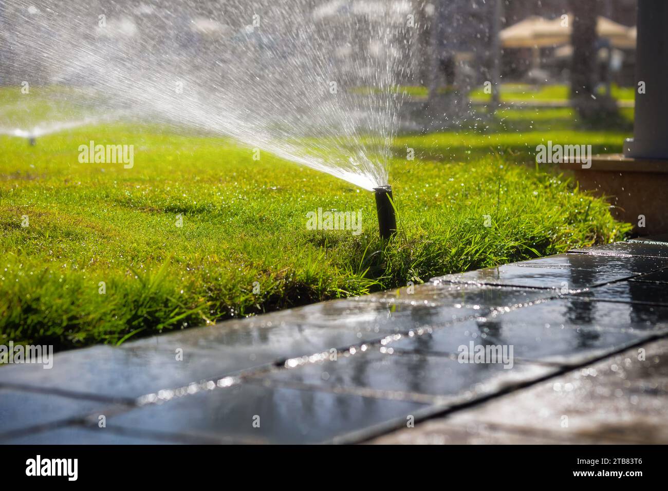 Sprinkler sprinkles lawn hi-res stock photography and images - Alamy
