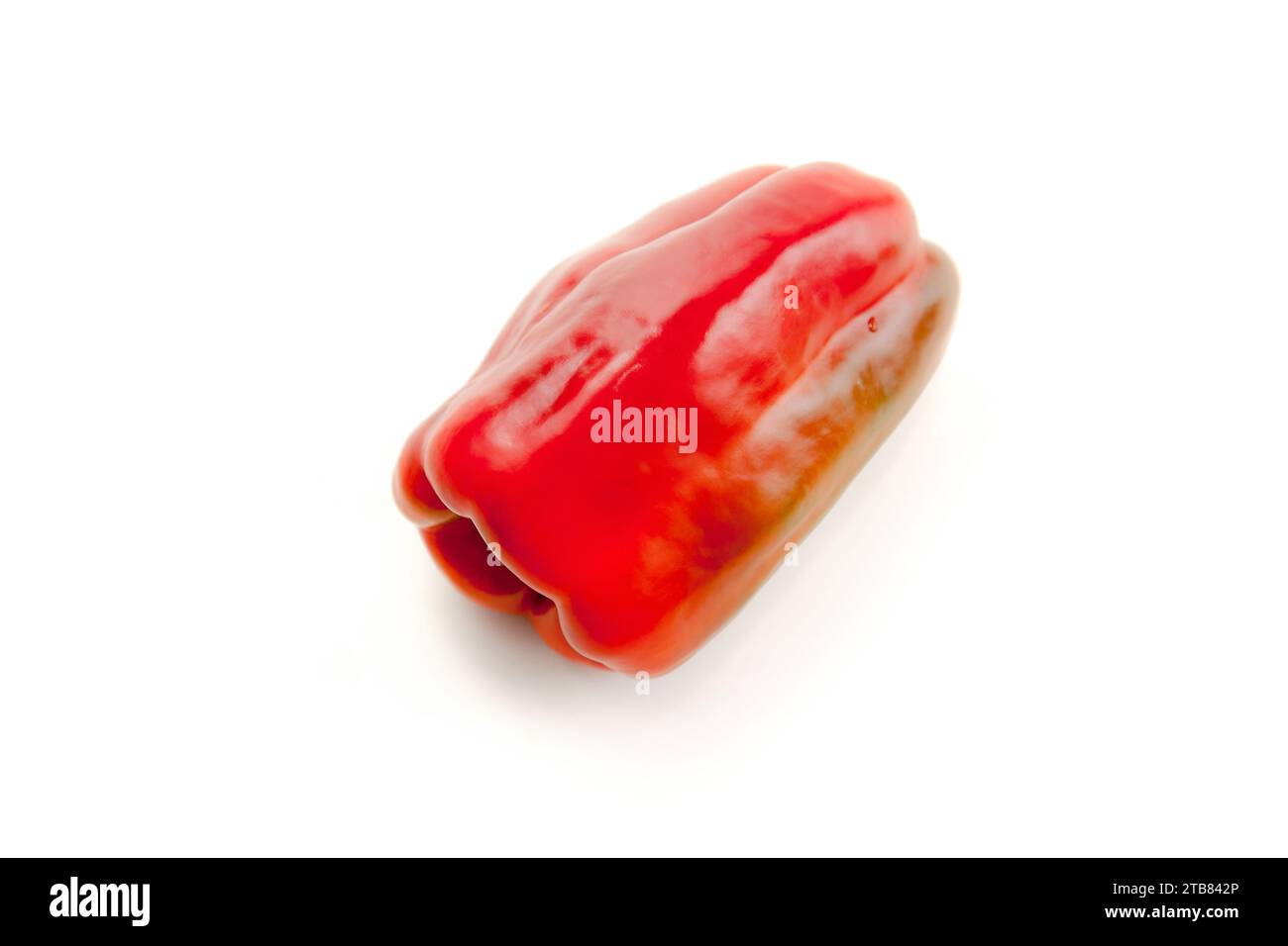 Whole red bell pepper (capsicum) known as sweet bell pepper, paprika ...