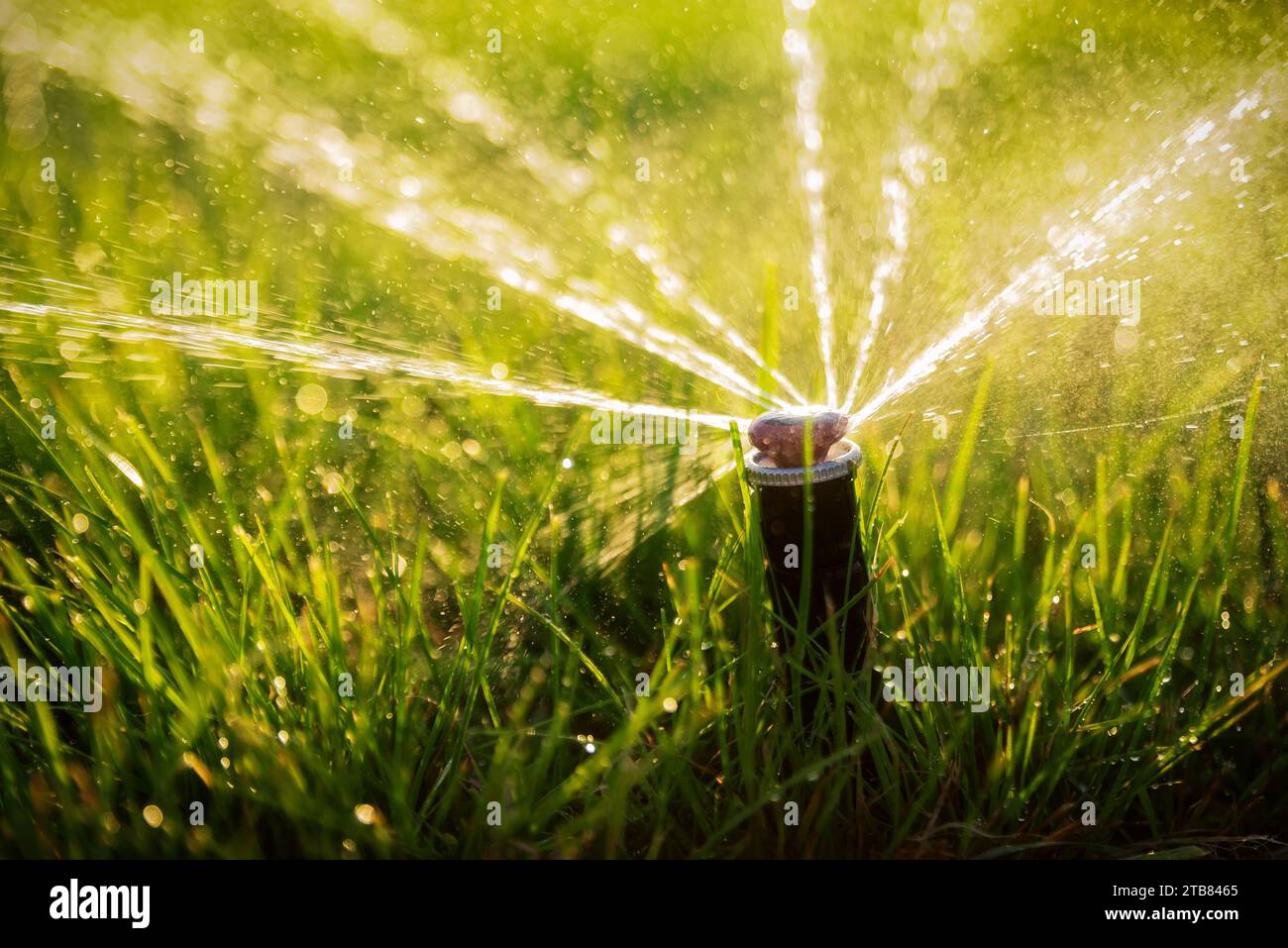 Automatic sprinkler hi-res stock photography and images - Alamy