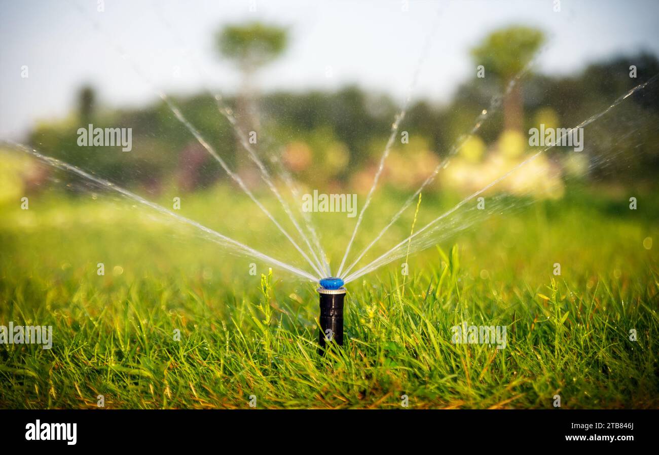Automatic sprinkler hi-res stock photography and images - Alamy