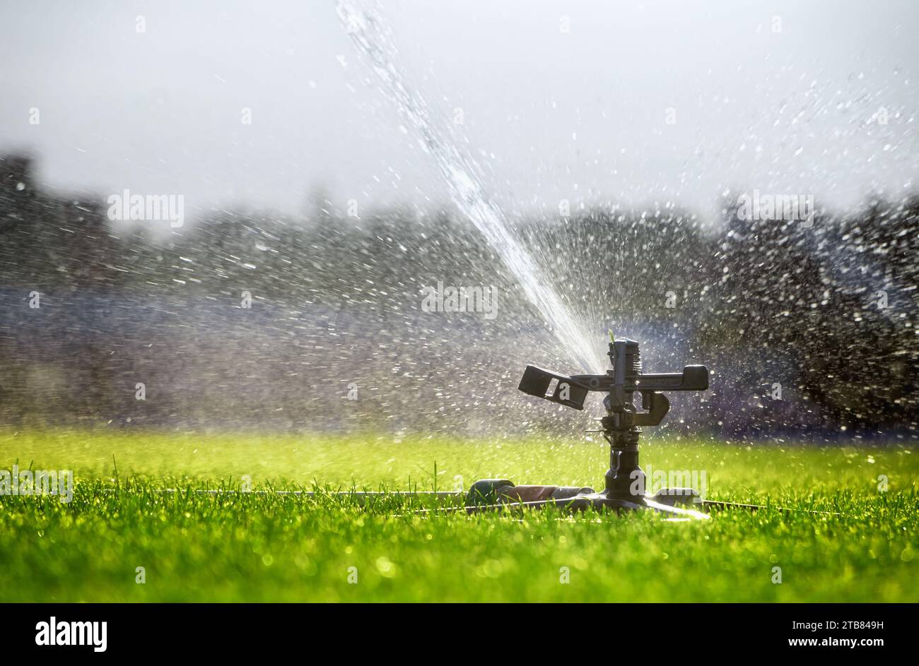 Automatic sprinkler spraying water on hi-res stock photography and ...