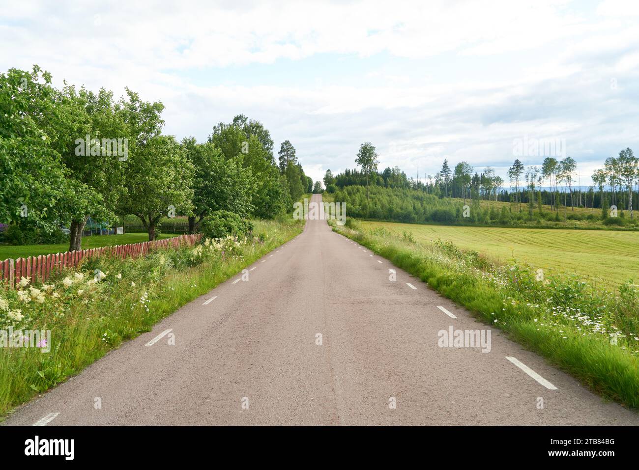 Clear path hi-res stock photography and images - Alamy