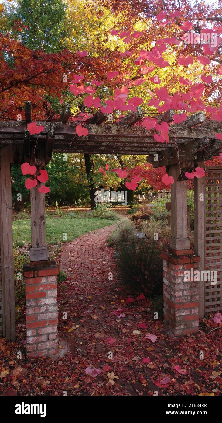 A brick path leads through a gateway amidst colorul yellow, red and ...