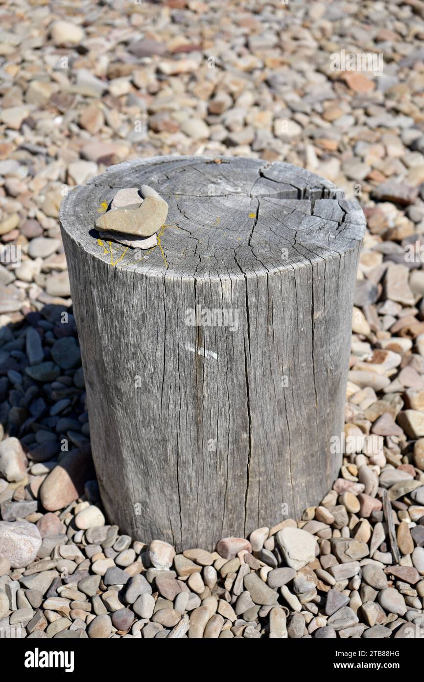 Rustic fence on beach hi-res stock photography and images - Alamy