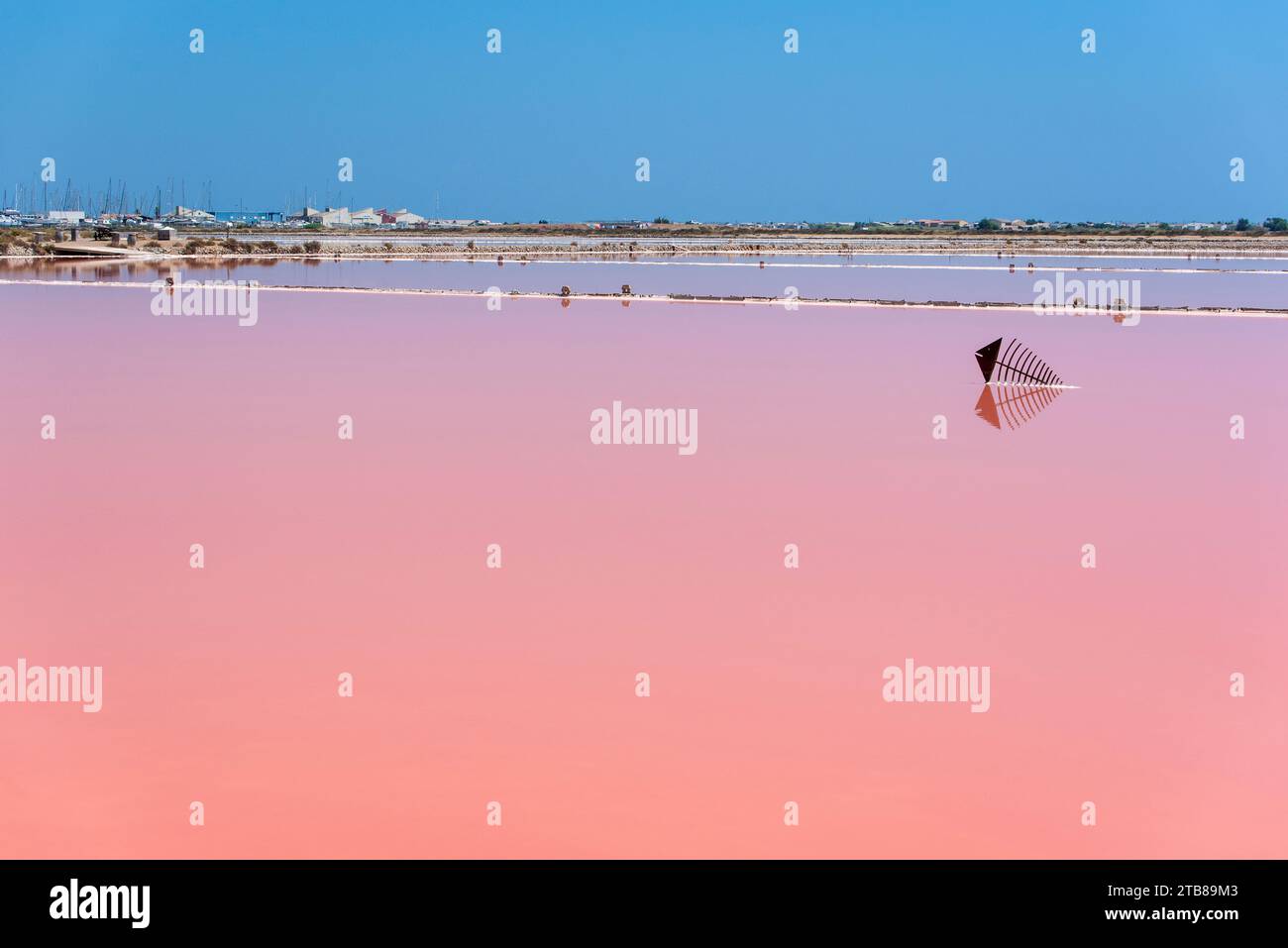 Gruissan (south of France): the salt marshes of St Martin Island, whose ...
