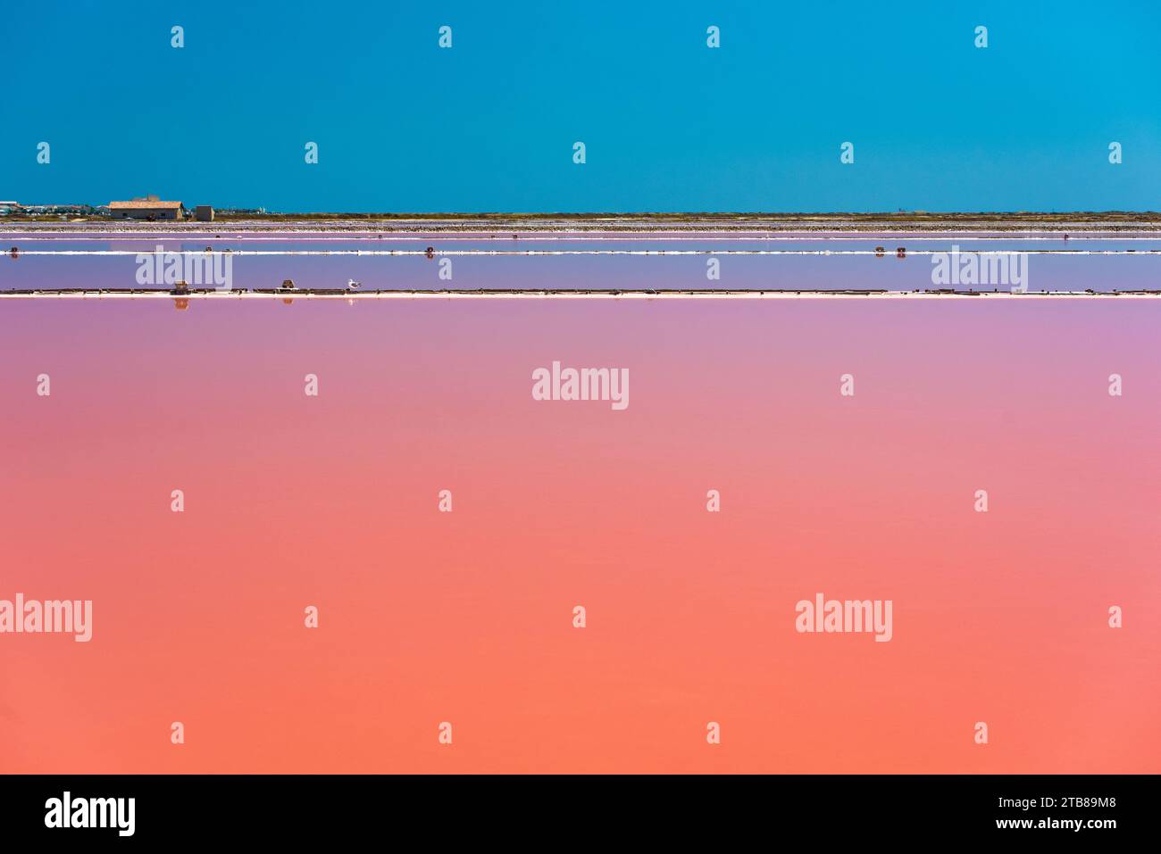 Gruissan (south of France): the salt marshes of St Martin Island, whose ...