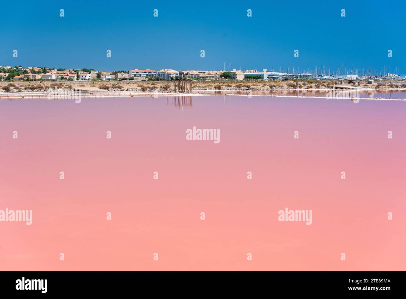 Gruissan (south of France): the salt marshes of St Martin Island, whose ...