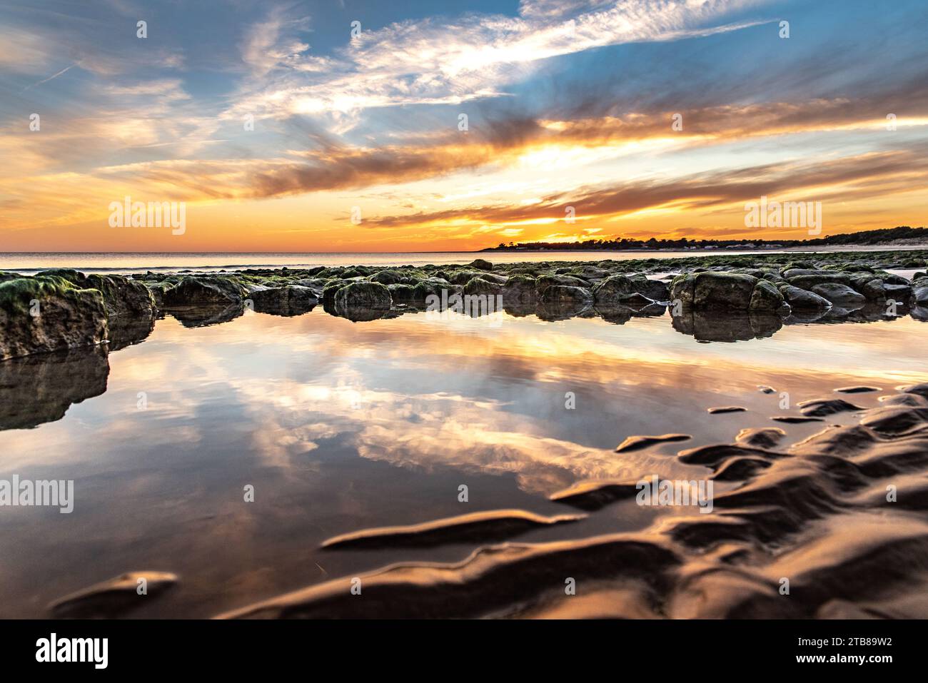 Longeville-sur-Mer (central-western France): landscape of the coastal ...