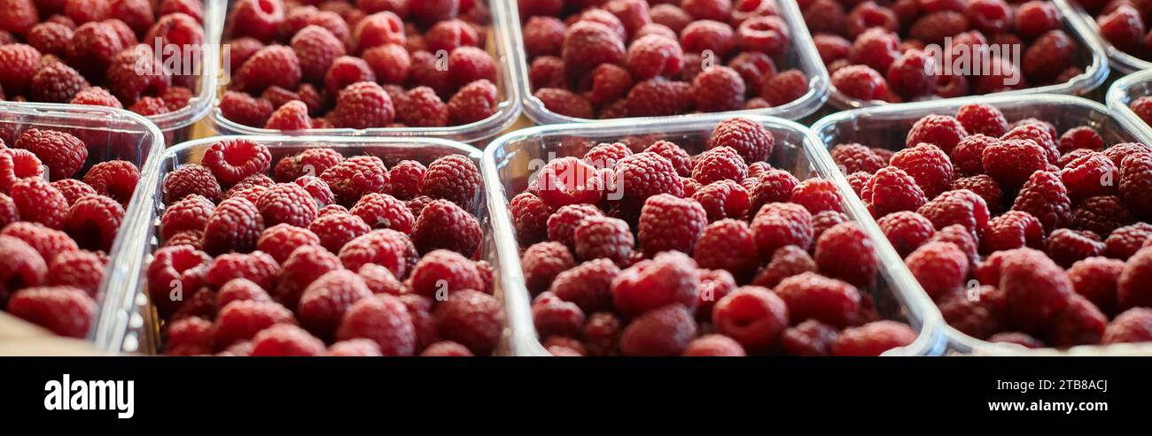 object photo of packed juicy vibrant delicious raspberries at grocery ...