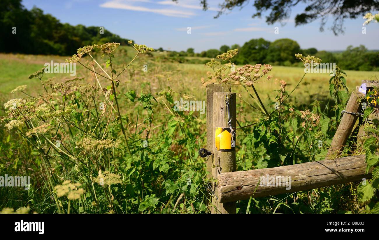 Right of way markers hi-res stock photography and images - Alamy
