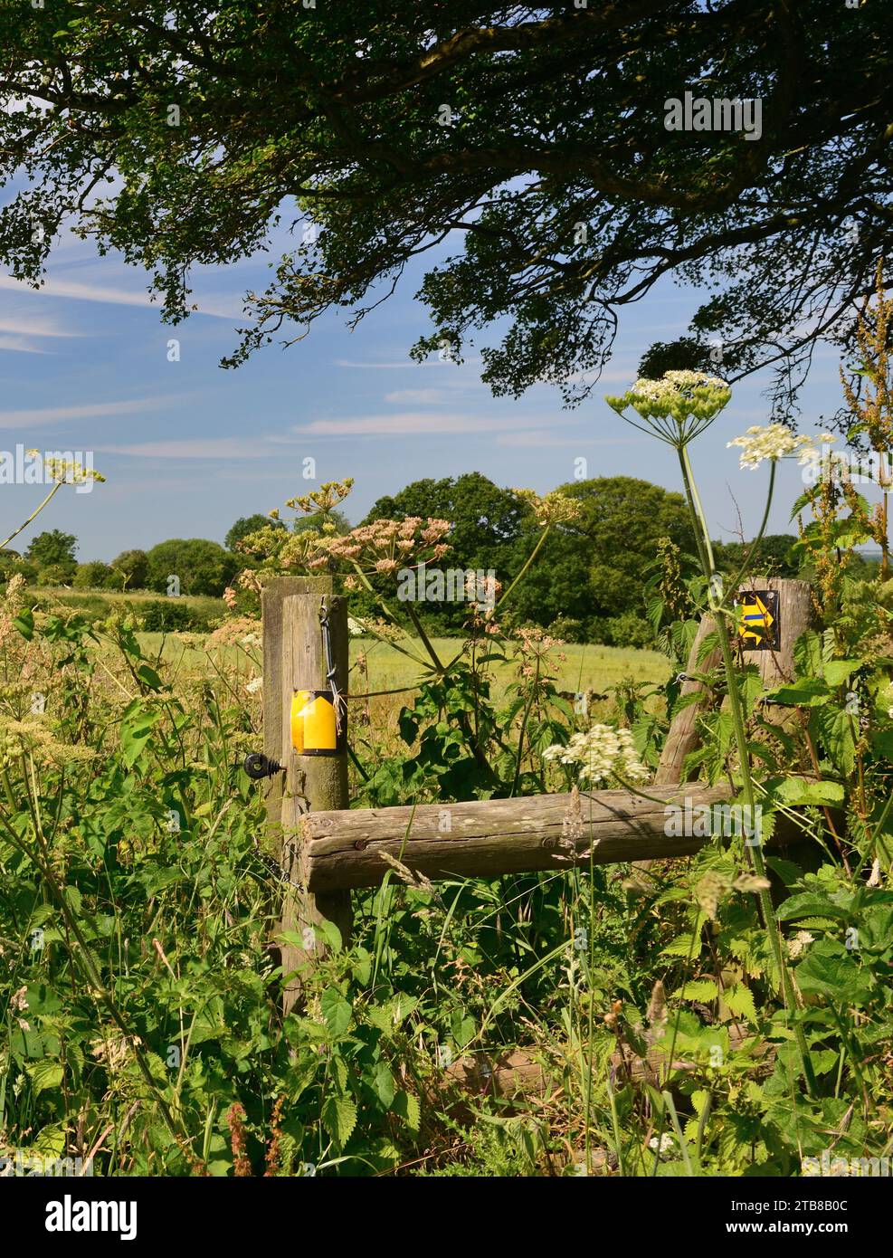 Right of way markers hi-res stock photography and images - Alamy