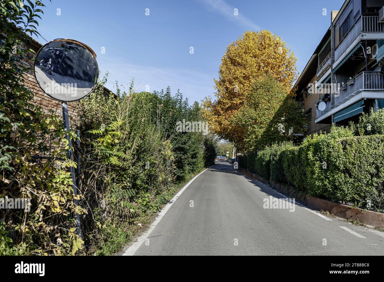A narrow road bordered by a residential area Stock Photo - Alamy