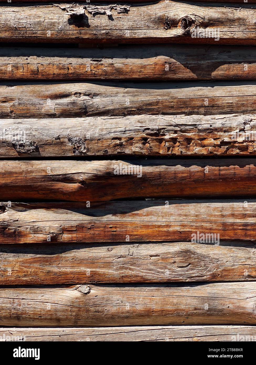 A wall of wooden logs as a background Stock Photo - Alamy