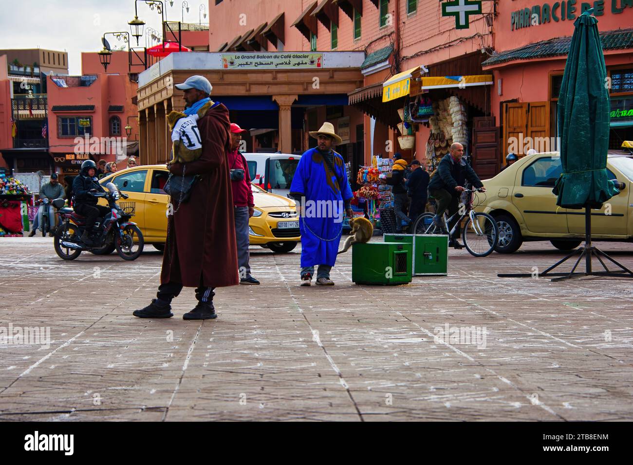 Life in the streets of Marrakech, lifestyle in Marrakech, macaque ...