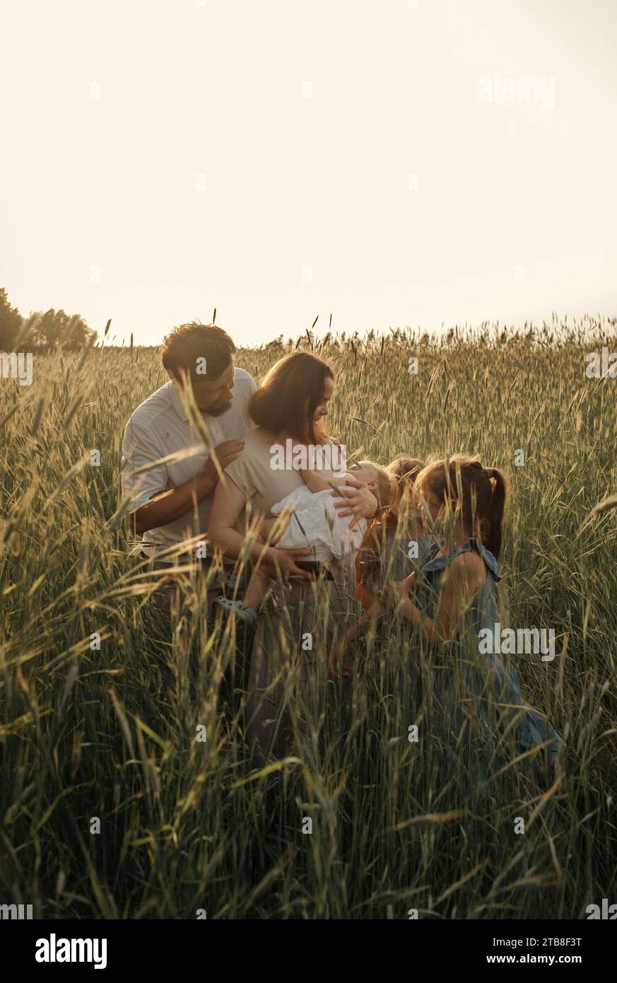 Family portrait on a field in rye in the rays of the setting sun ...
