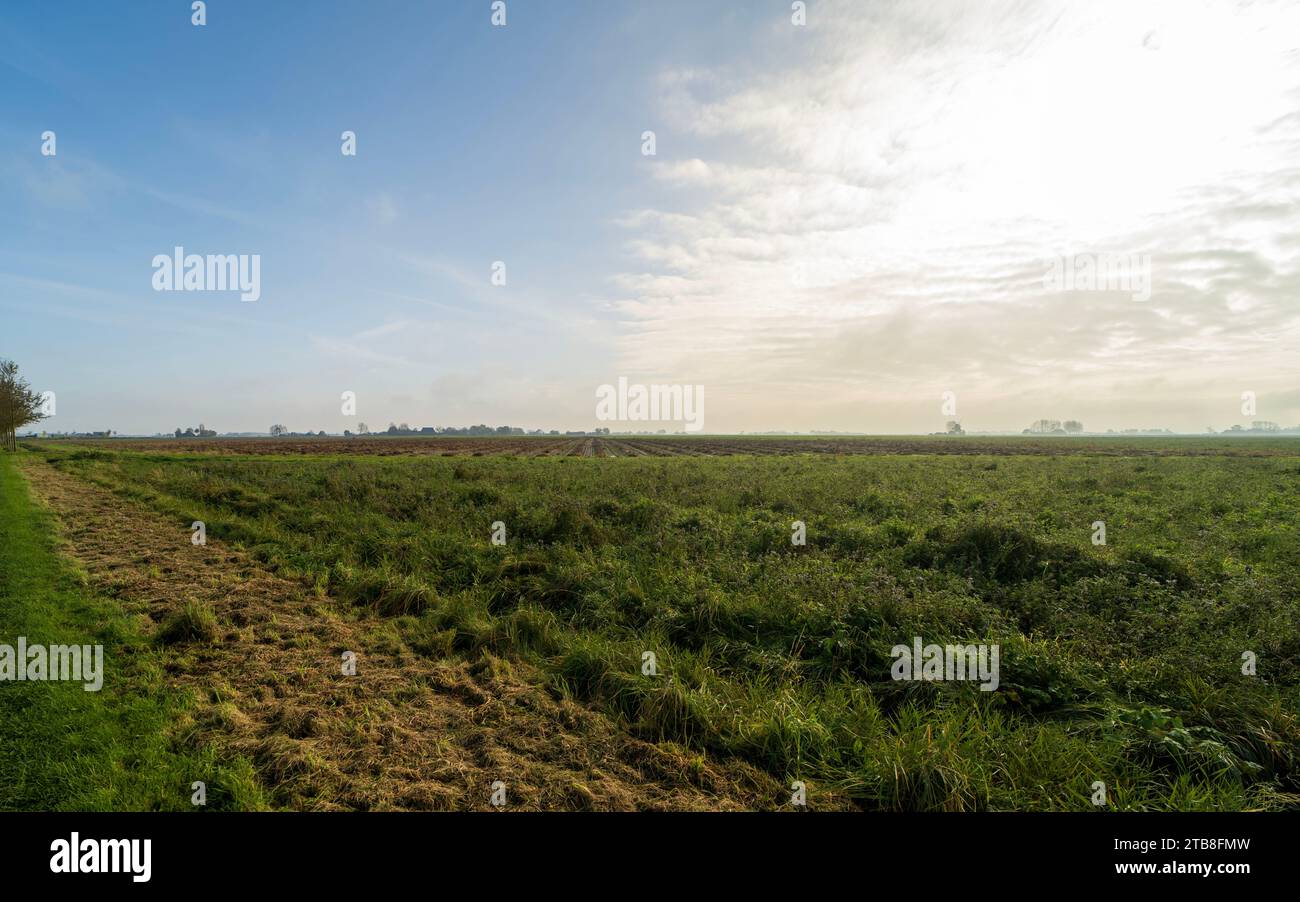 Agricultural fields near Blije, the Netherlands Stock Photo - Alamy