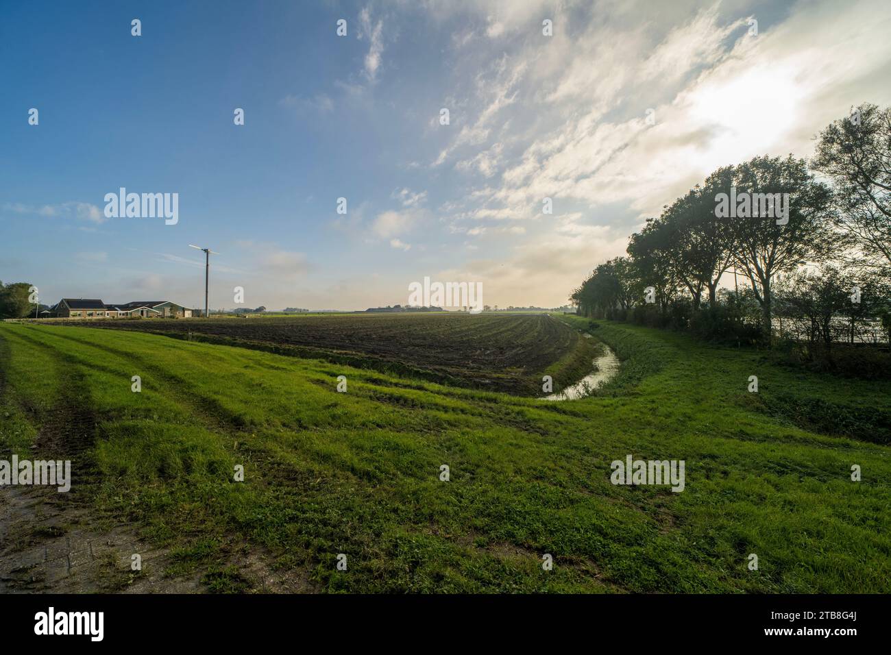 Agricultural fields in Noard-east Fryslan, the Netherlands Stock Photo ...