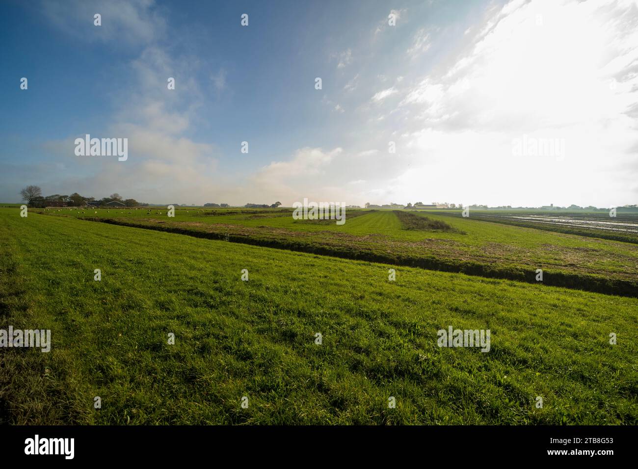 Agricultural fields in Noard-east Fryslan, the Netherlands Stock Photo ...
