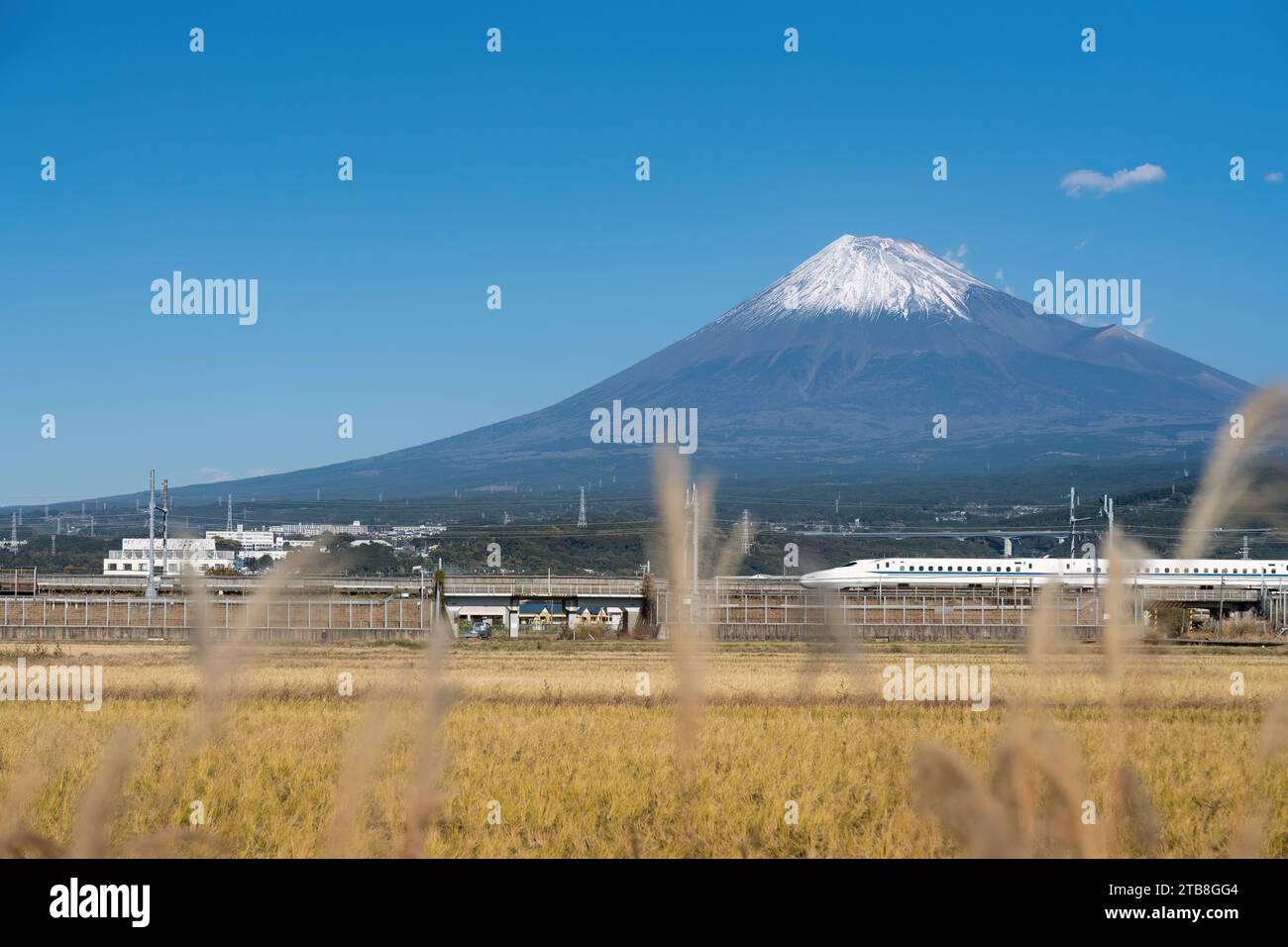 Shizuoka, Japan - December, 01 2023 : High Speed Bullet Train Tokaido ...