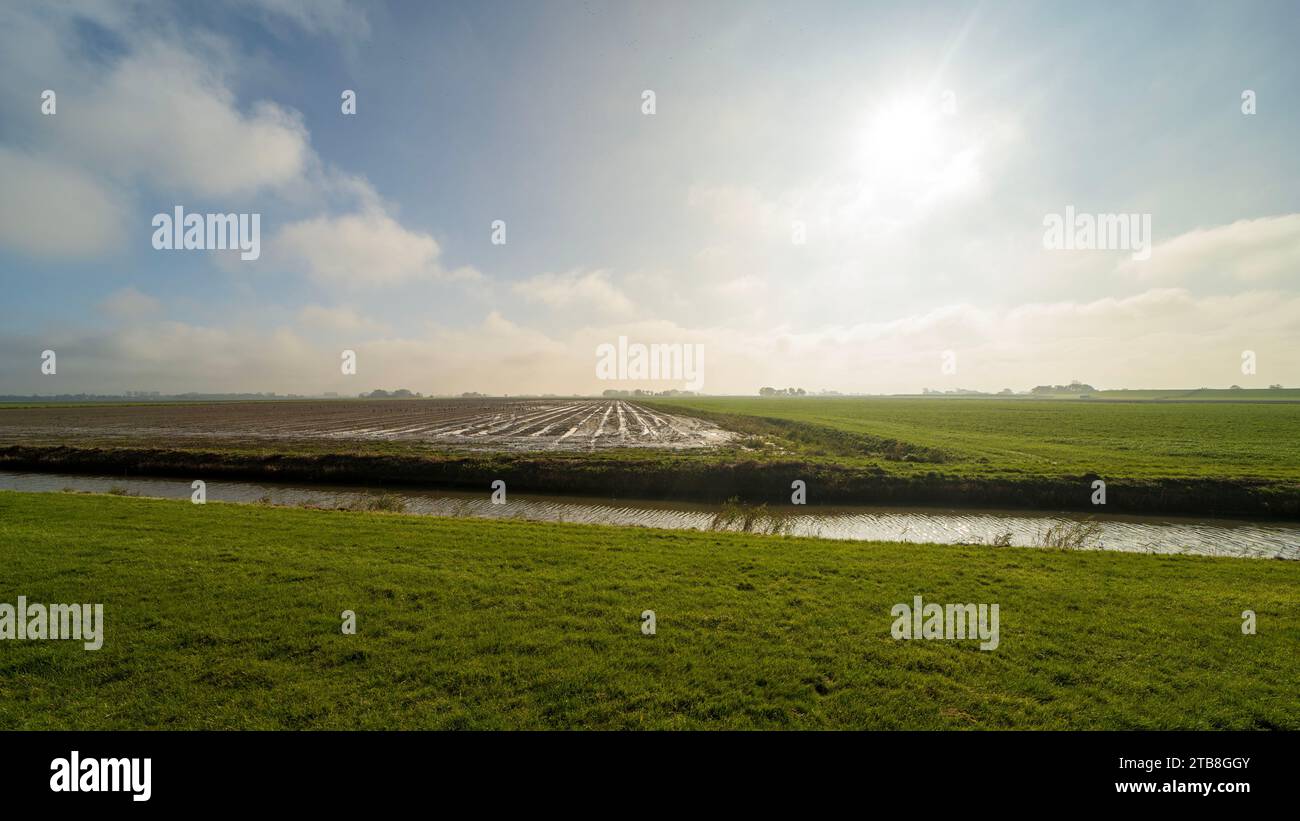 Agricultural fields near Holwert, the Netherlands Stock Photo - Alamy
