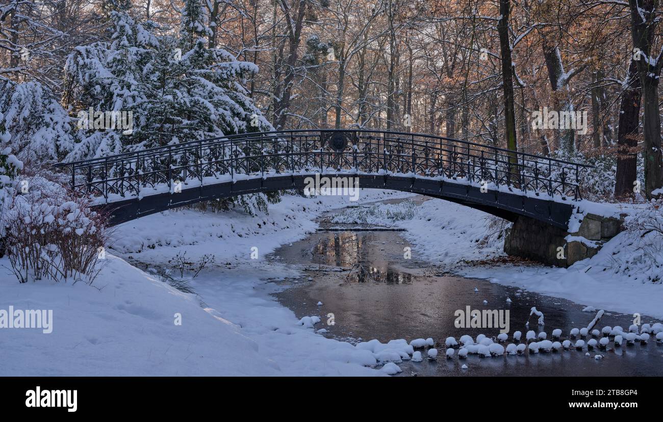 Winter landscape after the first snowfall Stock Photo - Alamy