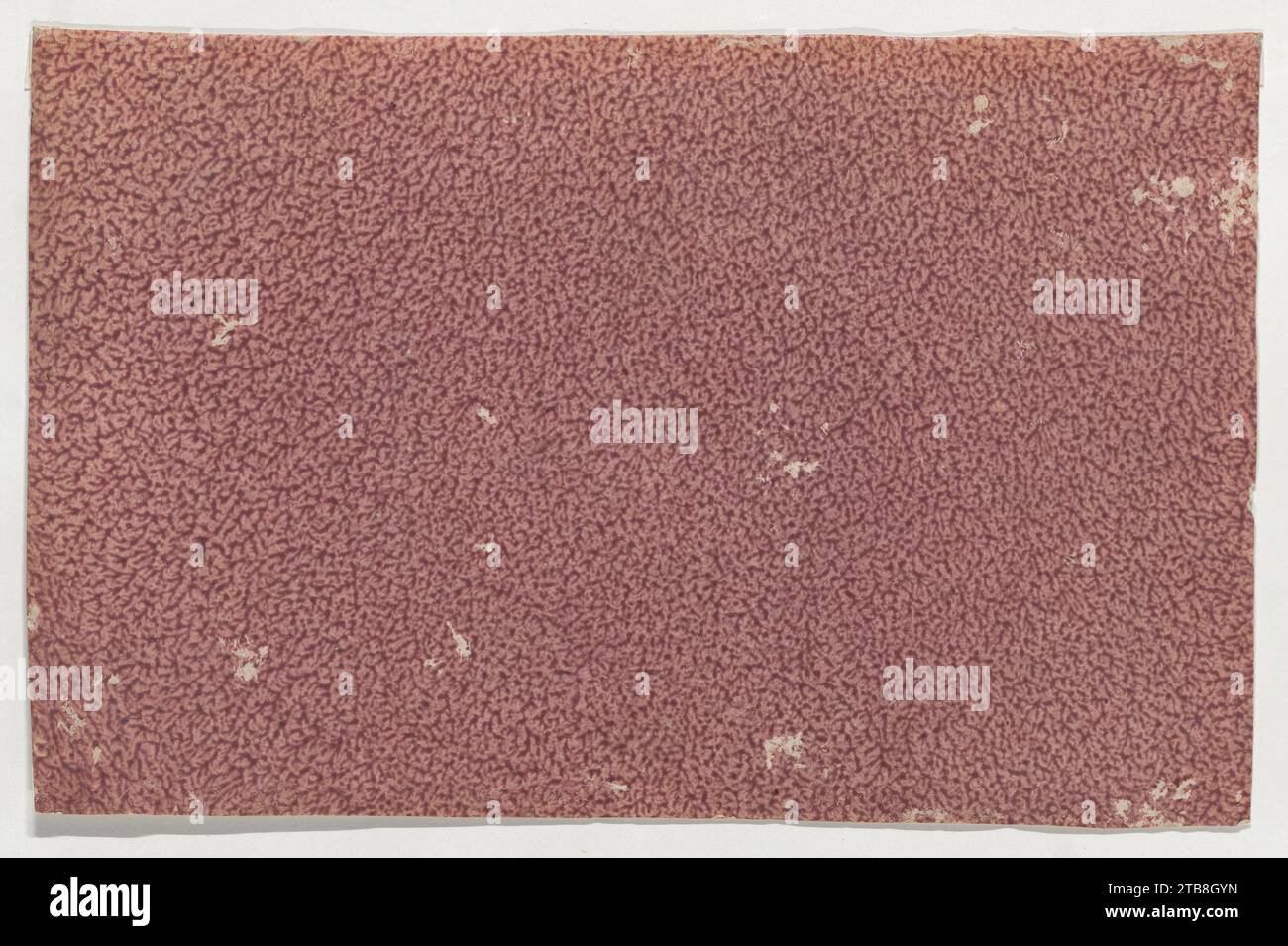 Purple paste hi-res stock photography and images - Alamy