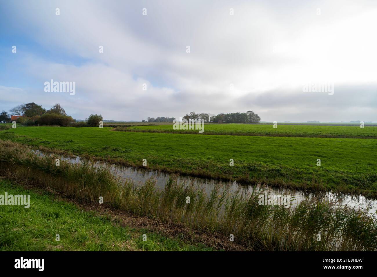 Fields outside of Ternaard, the Netherlands Stock Photo - Alamy