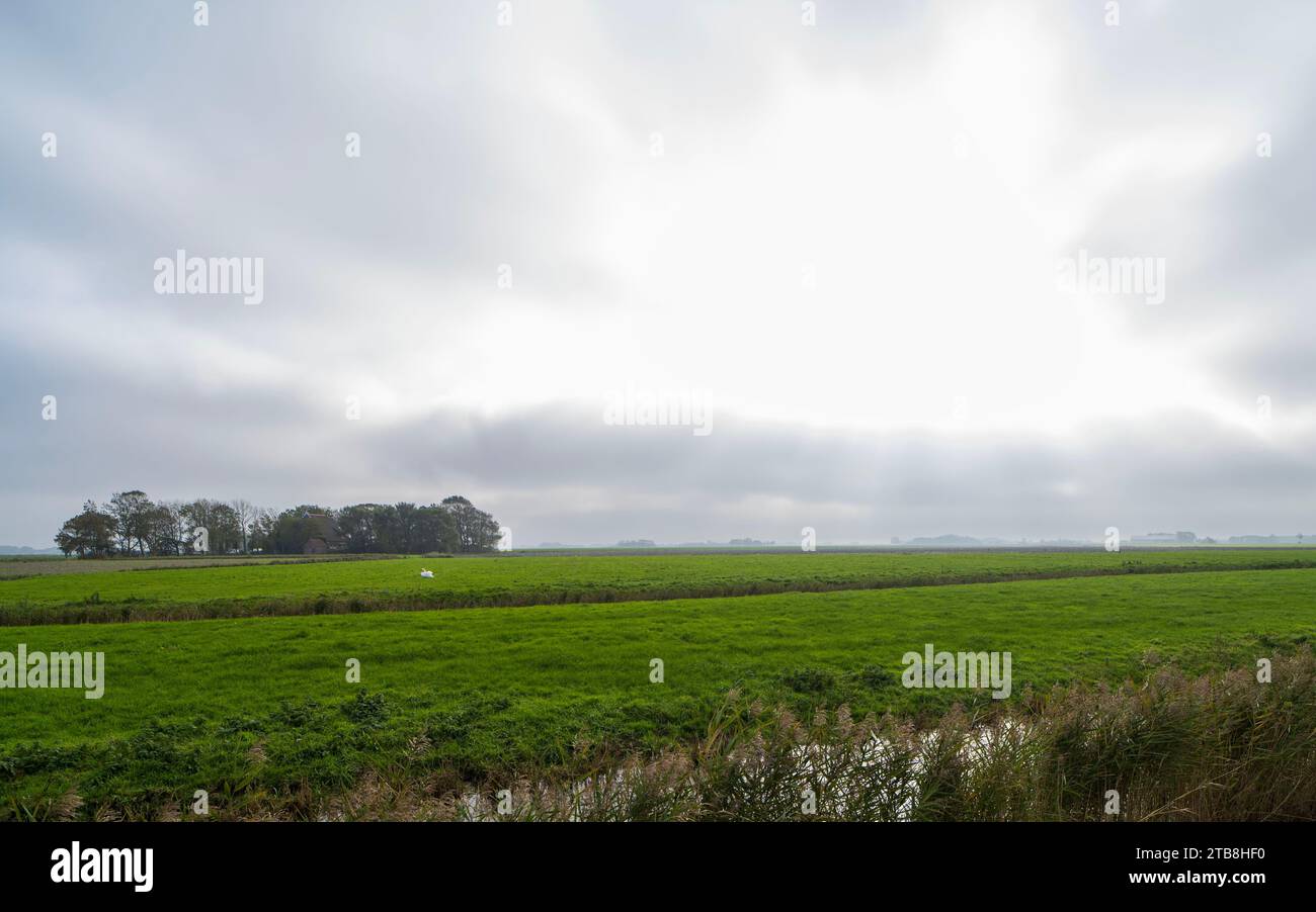 Fields outside of Ternaard, the Netherlands Stock Photo - Alamy